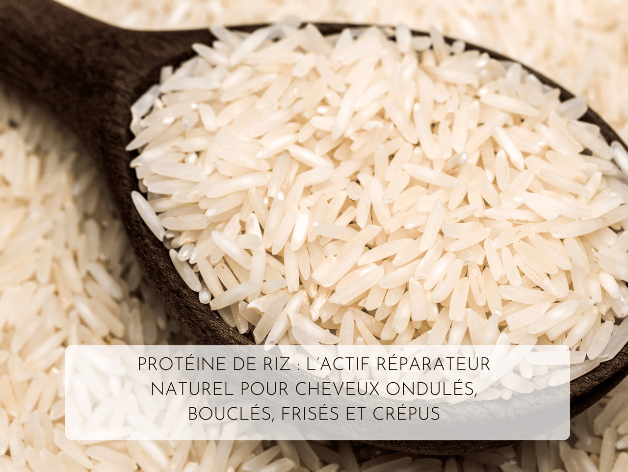 Protéine de riz : l’actif réparateur pour cheveux bouclés – Jia Paris